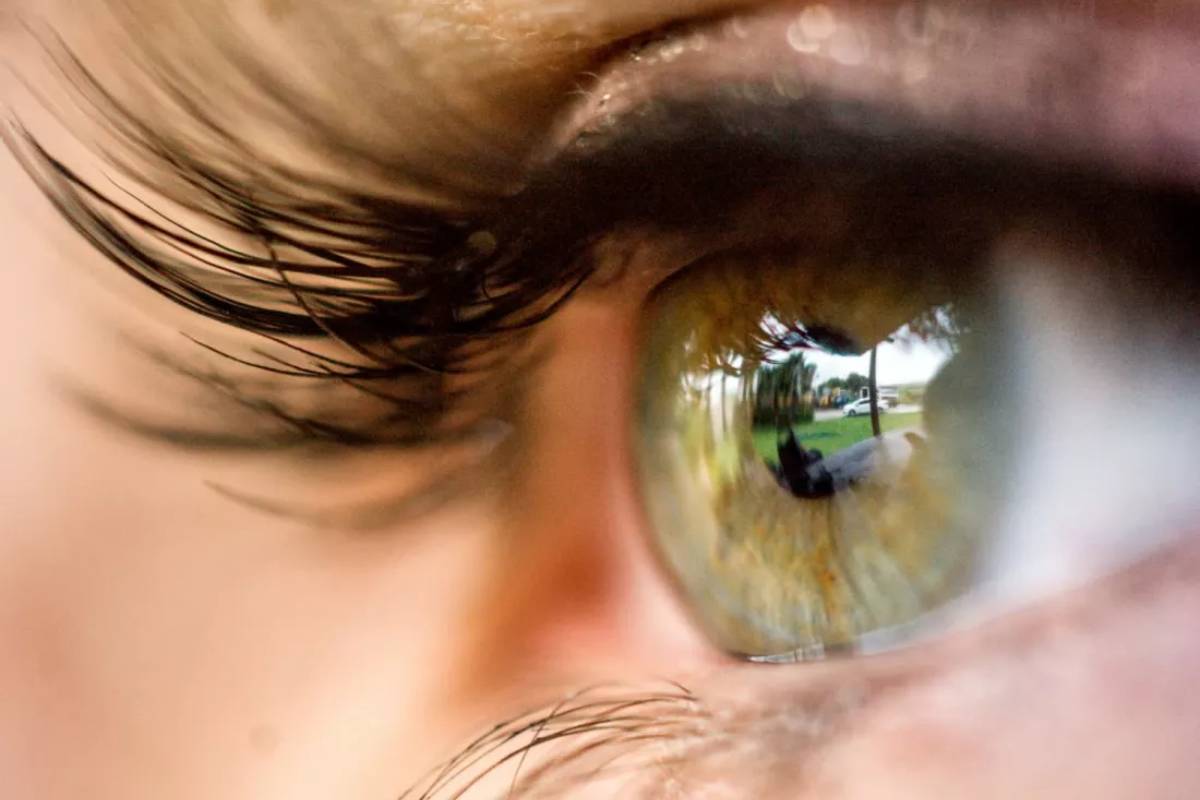 محققان با استفاده از انعکاس نور روی چشم انسان، صحنه‌های سه‌بعدی می ...