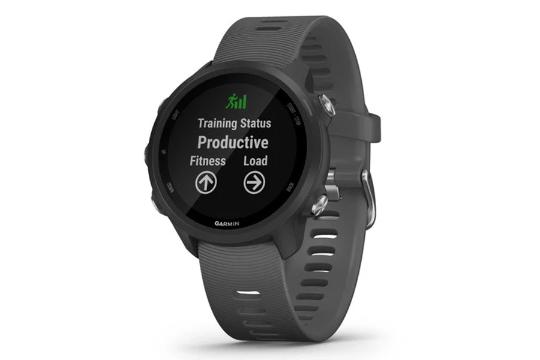 قیمت ساعت هوشمند گارمین Forerunner 245 نسخه Music | Garmin Forerunner ...