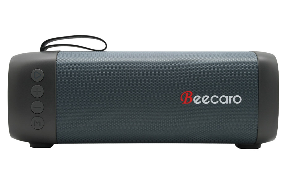 قیمت اسپیکر بیکارو Beecaro GF501 + مشخصات