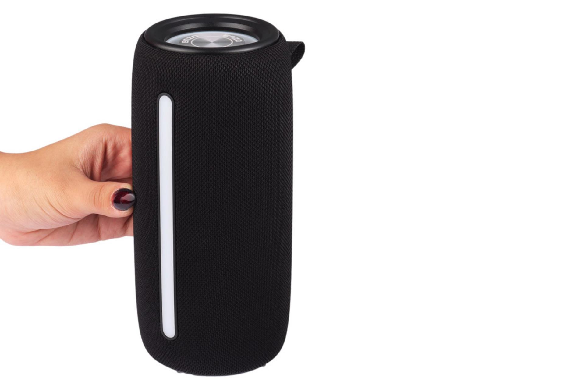 قیمت اسپیکر انزو Enzo S122 + مشخصات