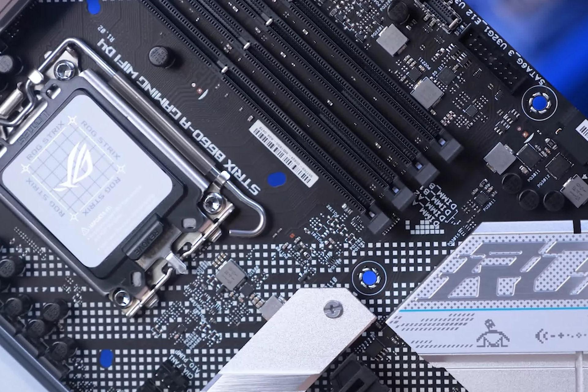 هشت نشانه مهم که از مرگ مادربرد خبر می‌دهند - زومیت