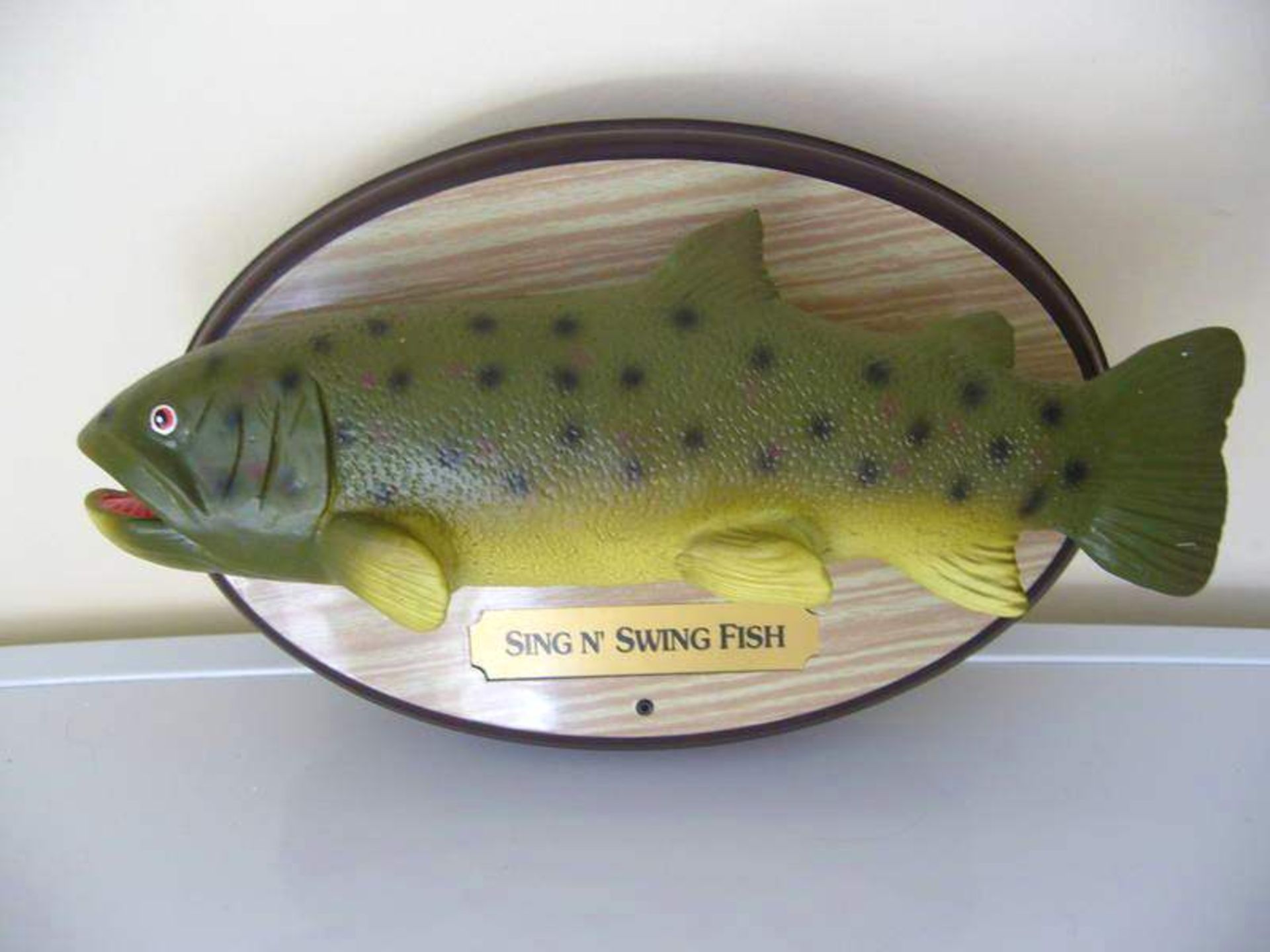 ۵ ایده‌ی احمقانه که به تجارت‌هایی میلیون دلاری تبدیل شدند - زومیت