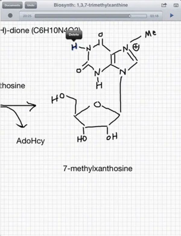 ۱۲ اپلیکیشن ضروری که هر دانشجو و دانش آموزی باید نصب کند